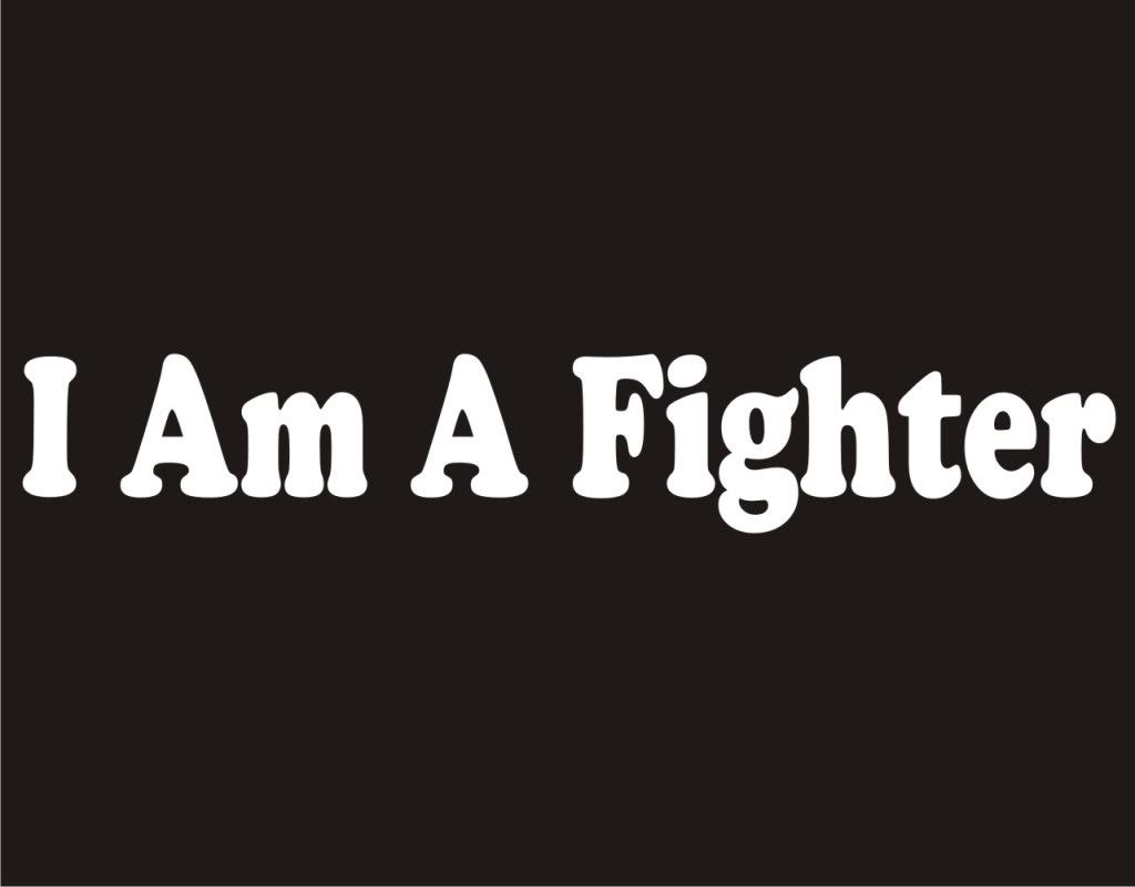 I Am A Fighter Quotes. QuotesGram